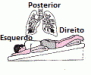 Drenagem Postural - ACAM