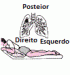 Drenagem Postural - ACAM